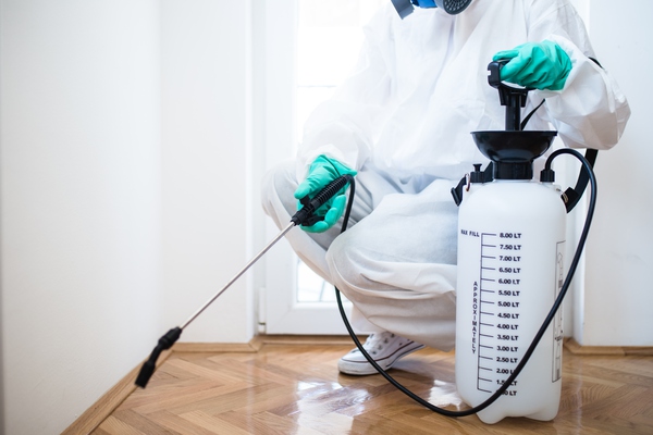 Professional Pest Management in Cantonment, FL - Exterminator