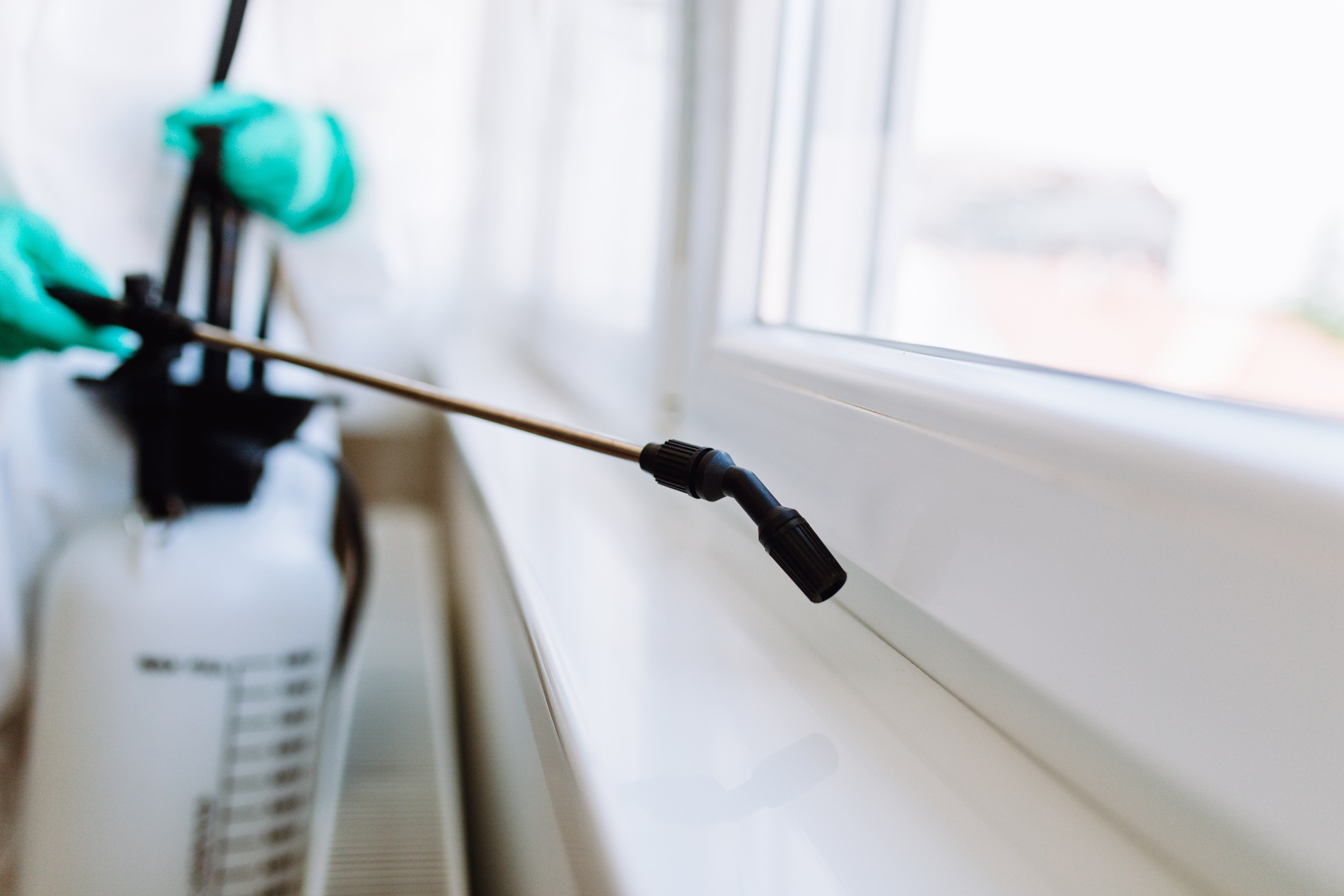 Professional Pest Management in Cantonment, FL - Exterminator